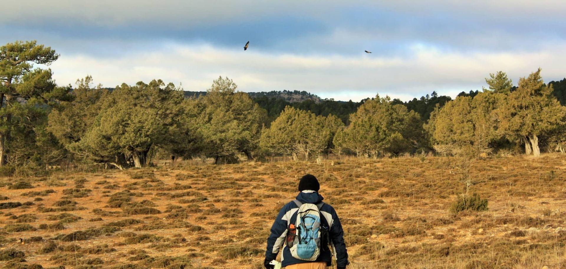 Ruta de senderismo interpretativo por la Cueva del Boquerón y la Modorra